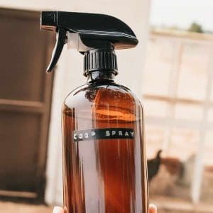 All Natural DIY Chicken Coop Spray & Deodorizer - Happy Home Happy Heart